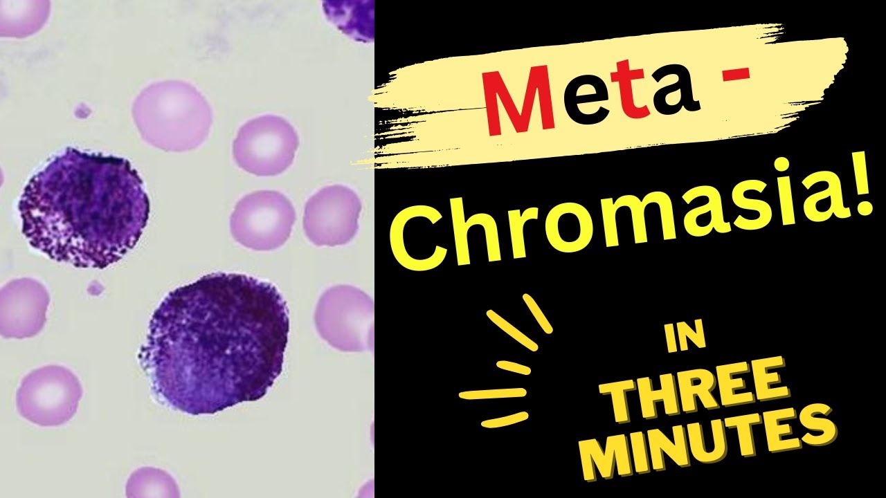 Metachromasia - In THREE 3️⃣ MINUTES - YouTube