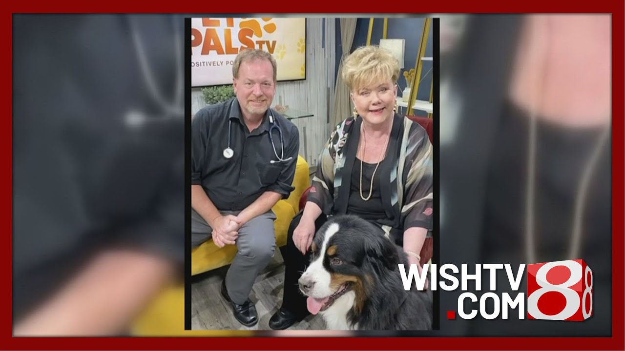 Patty Spitler hopes passing of beloved dog helps others - YouTube