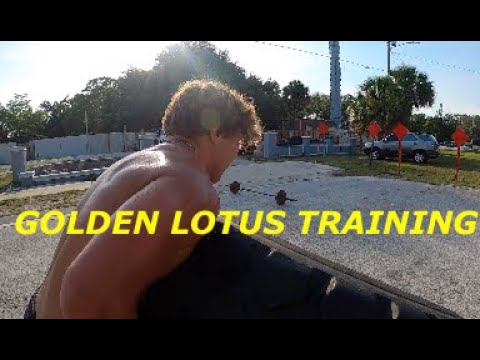 GOLDEN LOTUS TRAINING BECOME ELITE ATHLETE @GoldenLotusD-zu9hl ...