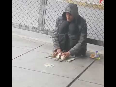 homeless man rat tricks - YouTube