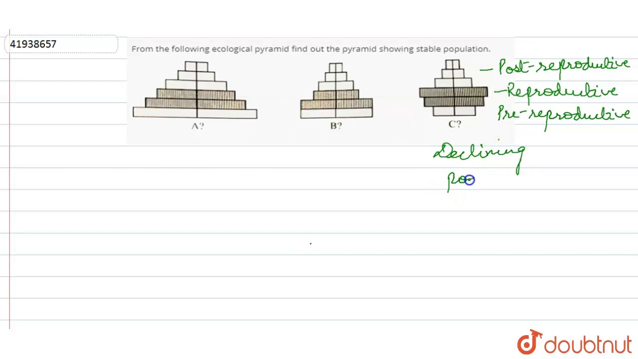 From the following ecological pyramid find out the pyramid showing ...