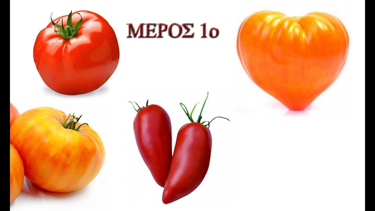 Δοκιμαζουμε παραδοσιακες ποικιλιες ντοματας - Μερος πρωτο - YouTube