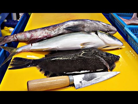 방어 참돔 강도다리 회뜨기 delicious sashimi