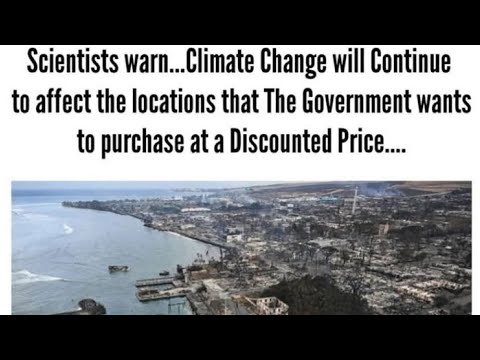 more stem cell removal - YouTube