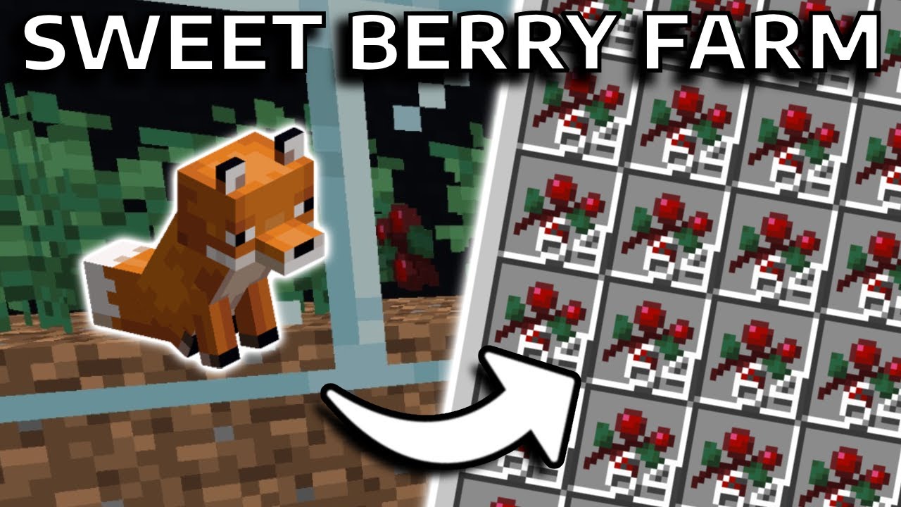 MINECRAFT - EASY AUTOMATIC SWEET BERRY FARM - YouTube
