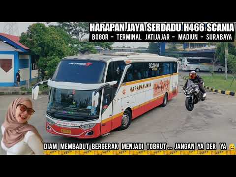 MAU NYAMAN⁉️BUS HARAPAN JAYA \
