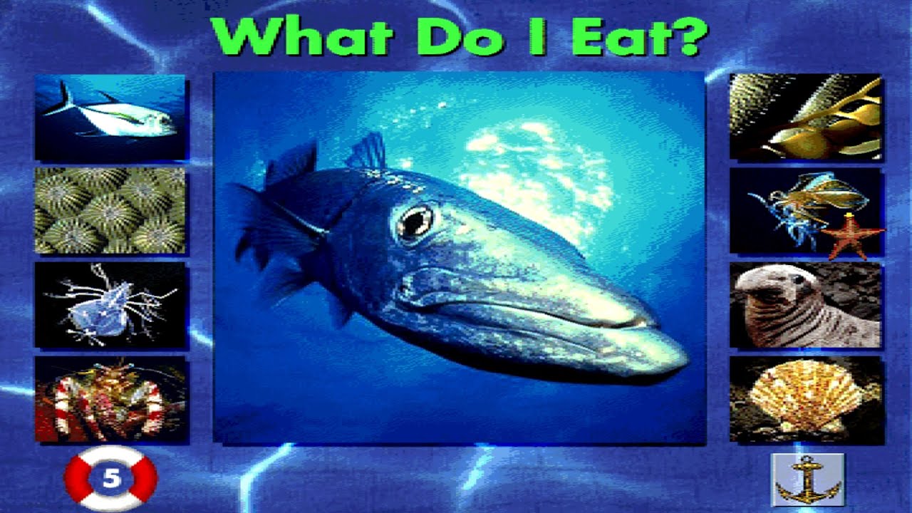 What Do I Eat? (HD) from Undersea Adventure MS-DOS/Packard Bell Version ...