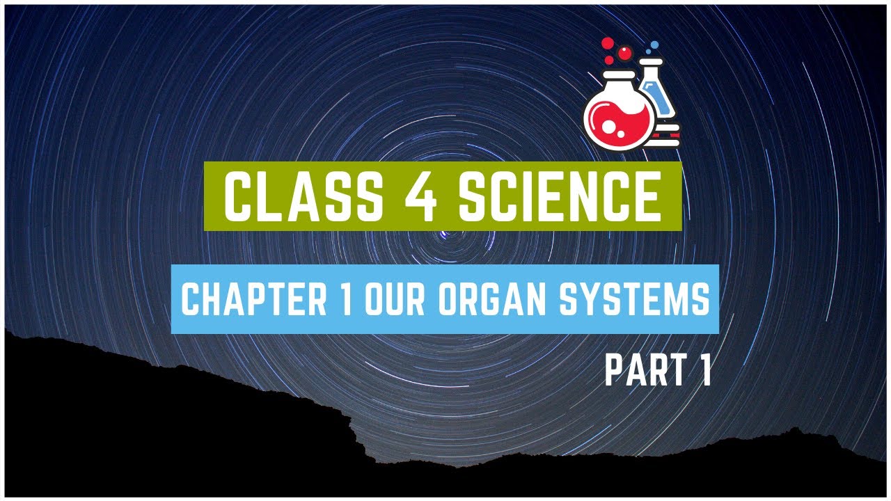 CLASS IV SCIENCE - CHAPTER 1 OUR ORGAN SYSTEMS PART 1 - YouTube