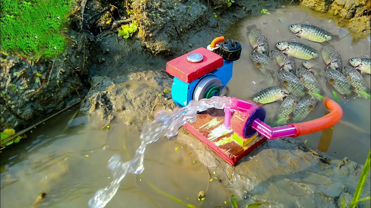 Fishing Exciting, Use A Mini Water Pump, Catch Many Of Fish In Paddy ...