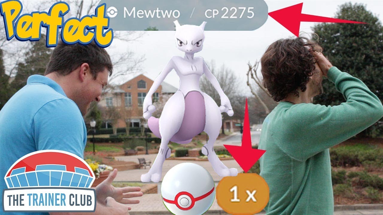 MEWTWO 100 PERCENT IV EX RAID!!! Maxed Out Mondays - YouTube