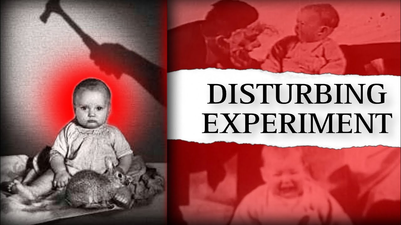 The Shocking Story of the Little Albert Experiment | ThrillerzNet # ...