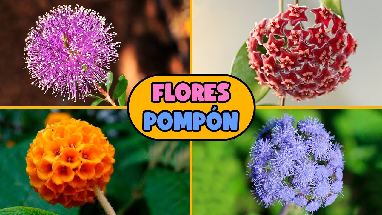 10 FLORES con FORMA CIRCULAR para el HOGAR - YouTube