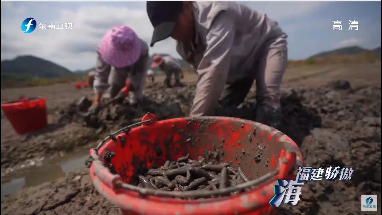《福建骄傲 海洋力量》：土笋冻里真的有“笋”吗？福建的黑暗料理土笋冻，里面的小生物是从这里来的！#东南卫视20220921 - YouTube