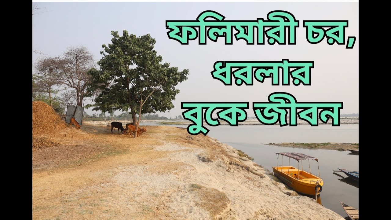 ফলিমারী চর | ধরলা নদীর বুকে জীবনের গল্প | Falimari Char Documentary ...