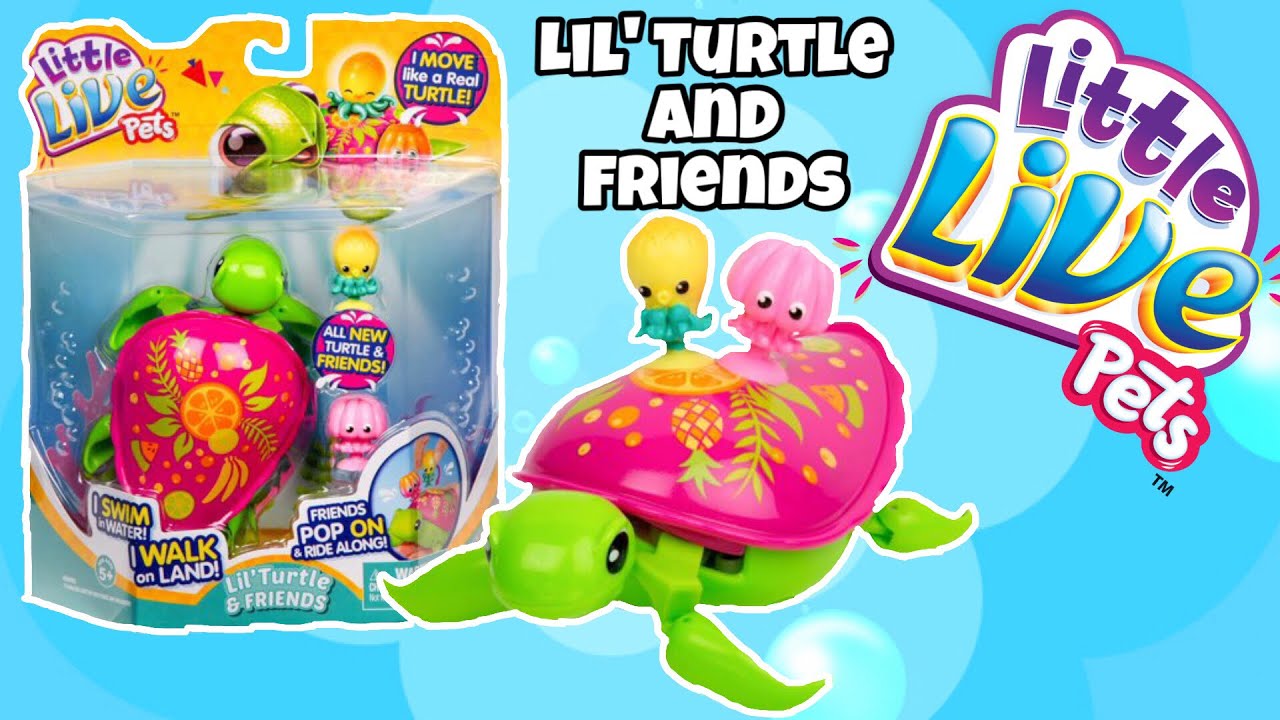 Little Live Pets LIL TURTLE WITH ALL NEW FRIENDS - YouTube