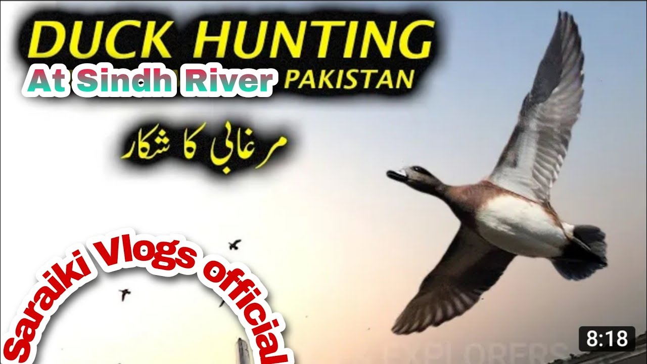 Duck Hunting in Pakistan|By Shot Kam|Saraiki Vlogs official - YouTube