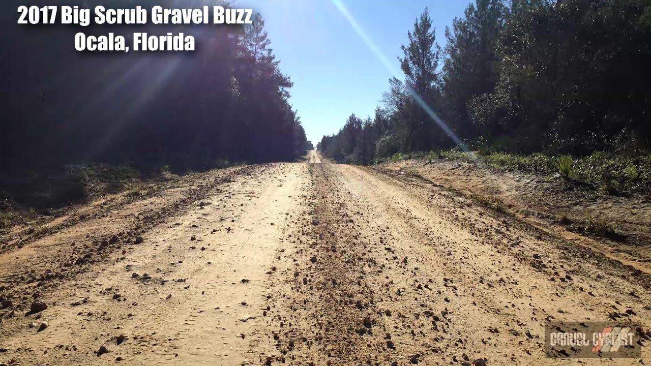Big Scrub Gravel Buzz! - 2017 - Ocala, Florida - YouTube