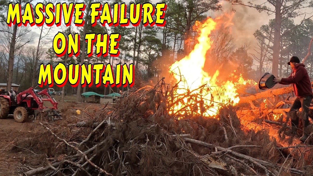 DISSAPPOINTING OFF-GRID FAILURE tiny house, homesteading, off-grid, cabin build, DIY, HOW TO ...