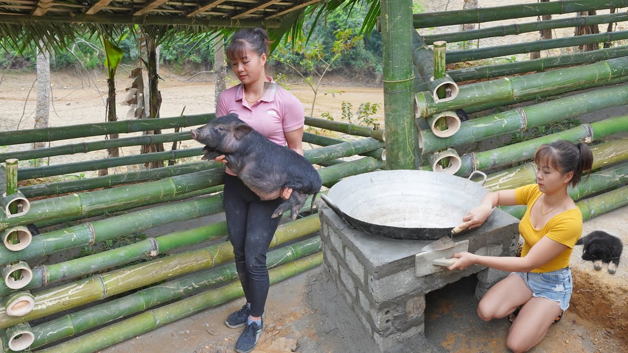 TIMELAPSE--220 Days Build Bamboo Pig Pen To Raise Pigs, Sell Many Geese ...
