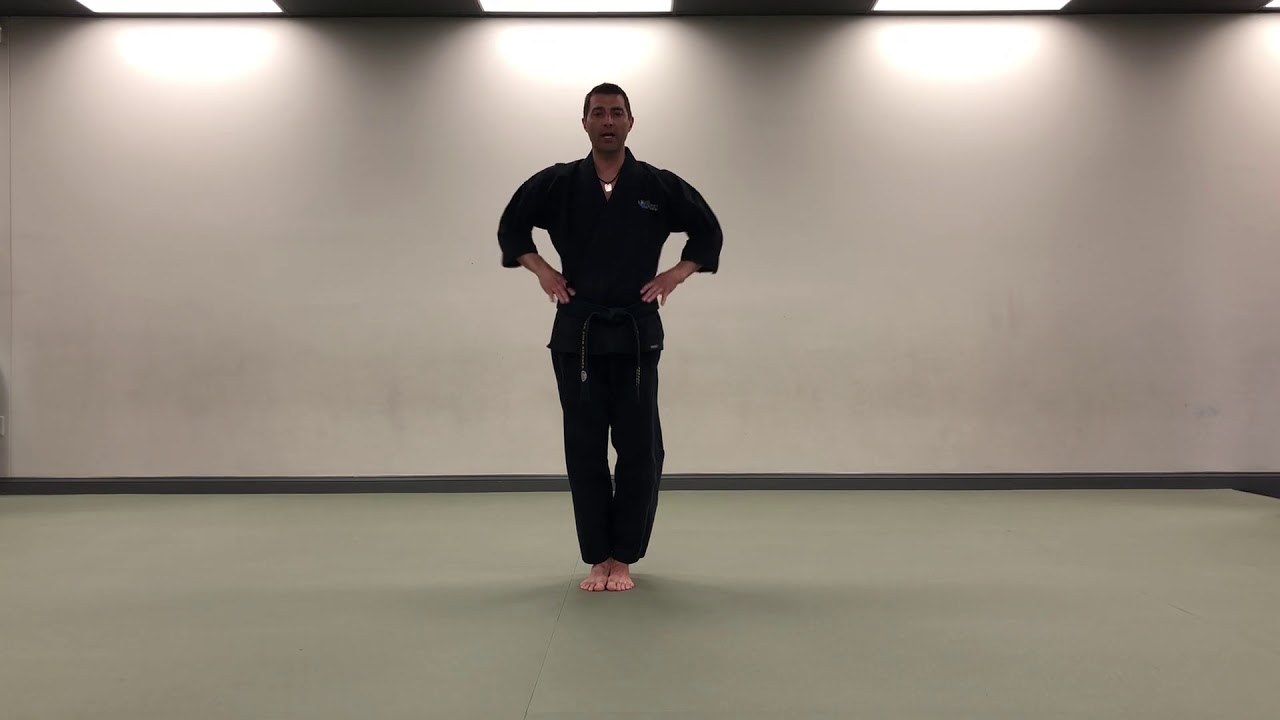 Master Adam teaching stances! - YouTube