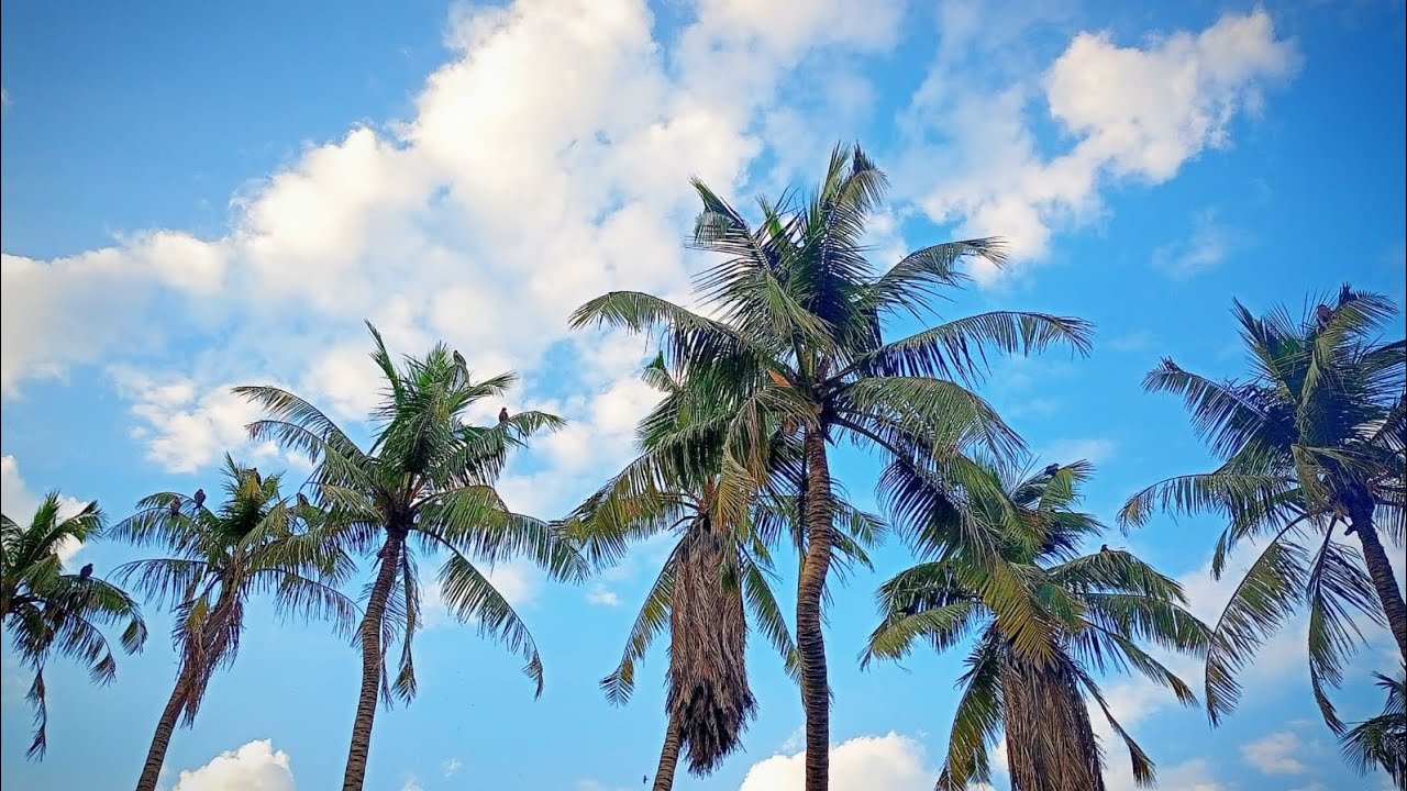 |Naturist showing Beautiful morning ️💯||feeling relaxed 😊||vlog 2 ...