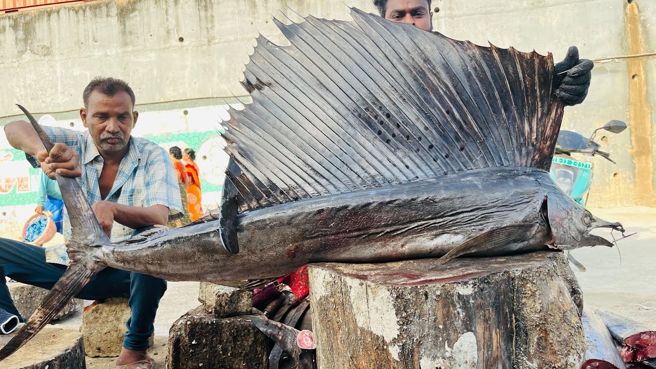 25 kg monster kola fish cutting kasimedu murgan fish cutting skills 🔥🔪 ...
