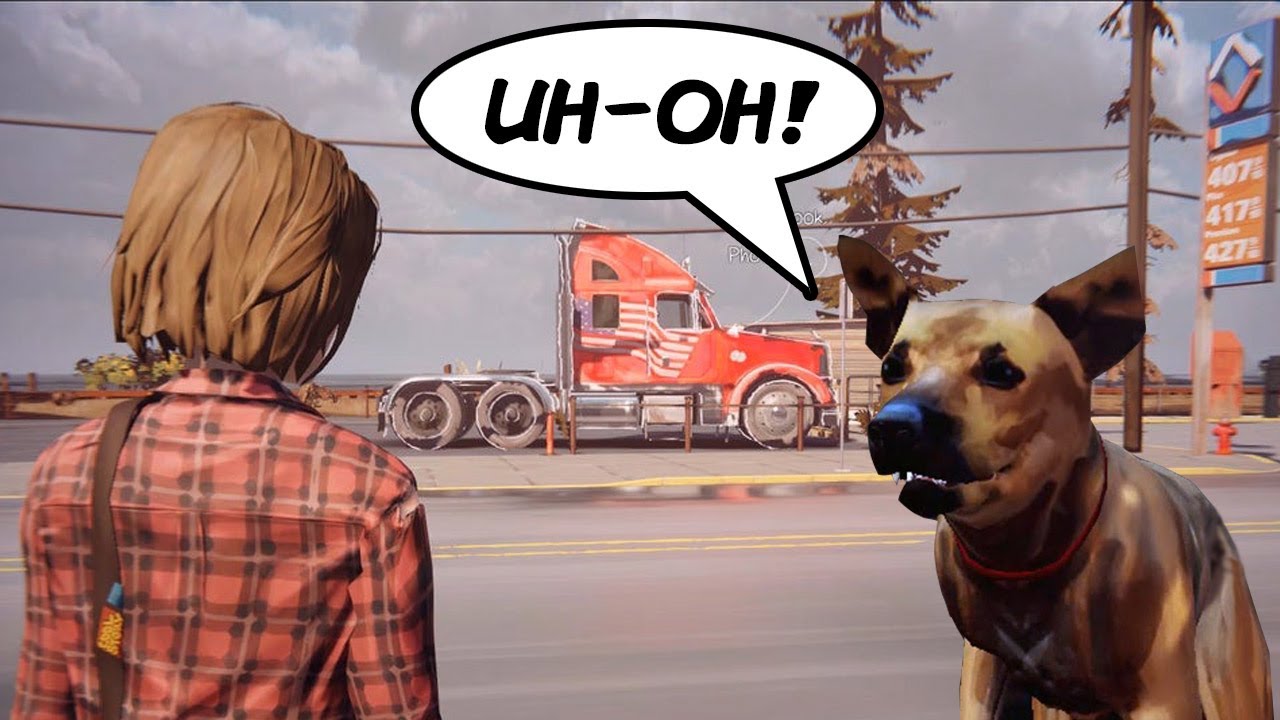 Life Is Strange: Pompidou gets hit by car! 🐶🚗💥💫🏥 - YouTube