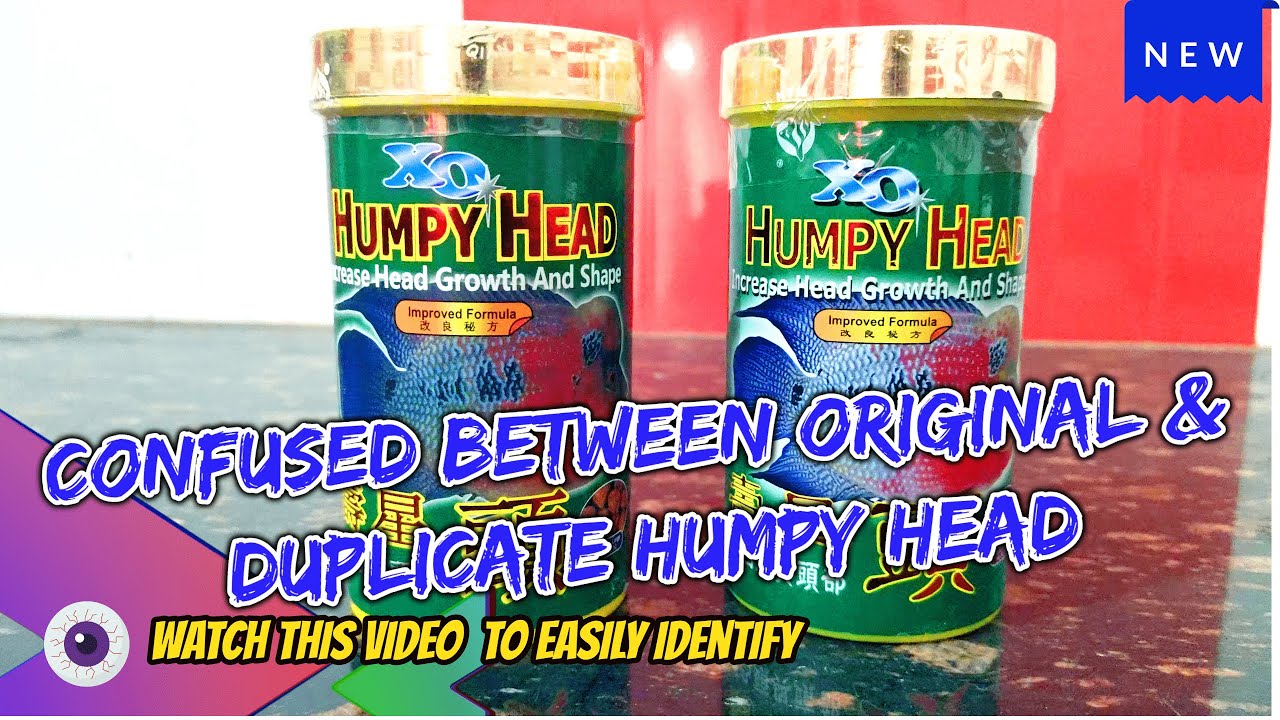 How to Check - Original and Duplicate Humpy Head || XO Humpy Head - YouTube
