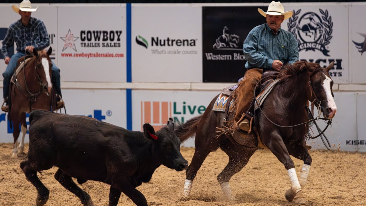 What is a cutting horse competition? The NCHA explains - YouTube