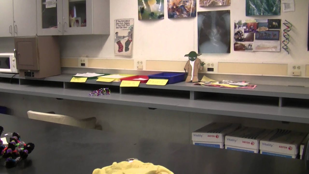 How to grade a stamp sheet - YouTube