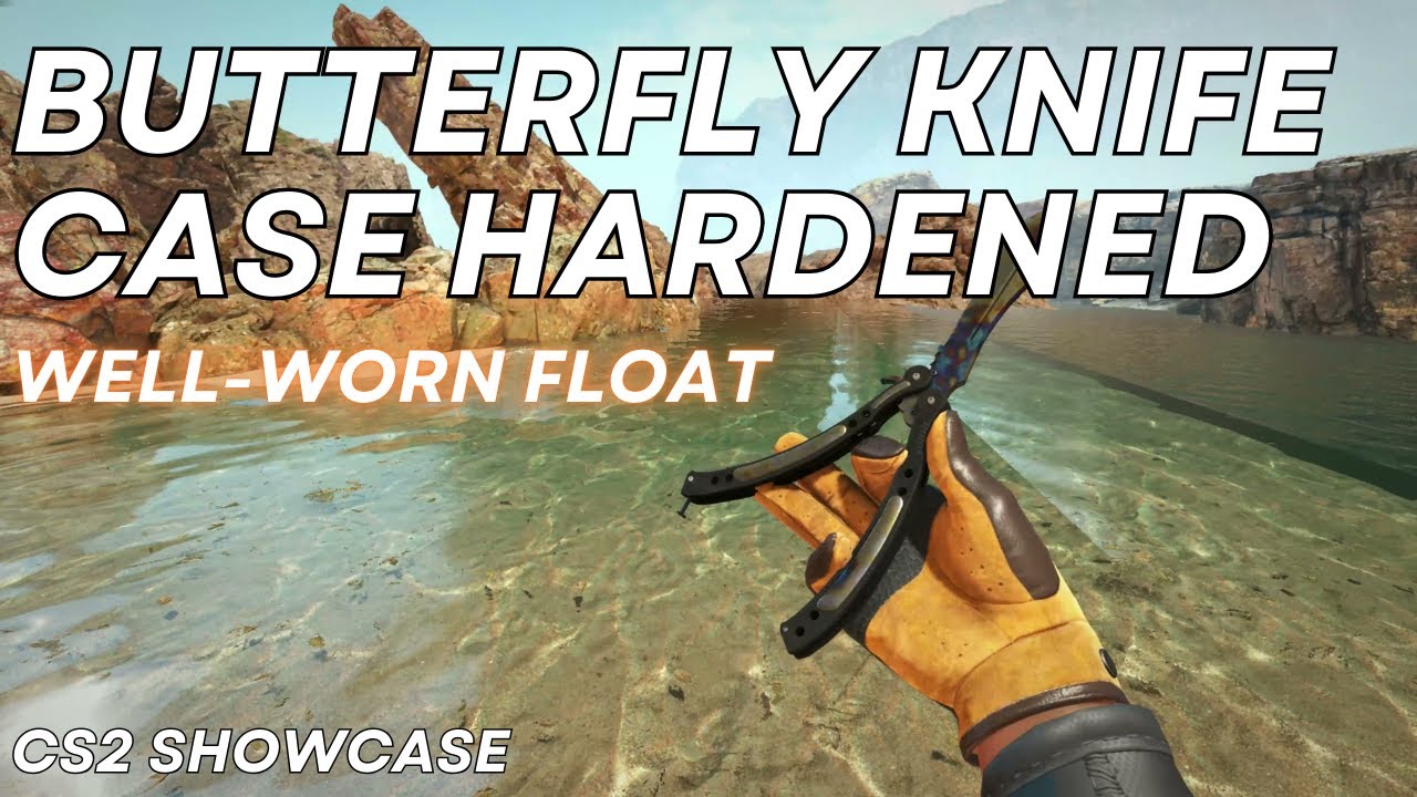 Butterfly Knife Case Hardened (Well-Worn) | CS2 Skin Showcase #1005 ...