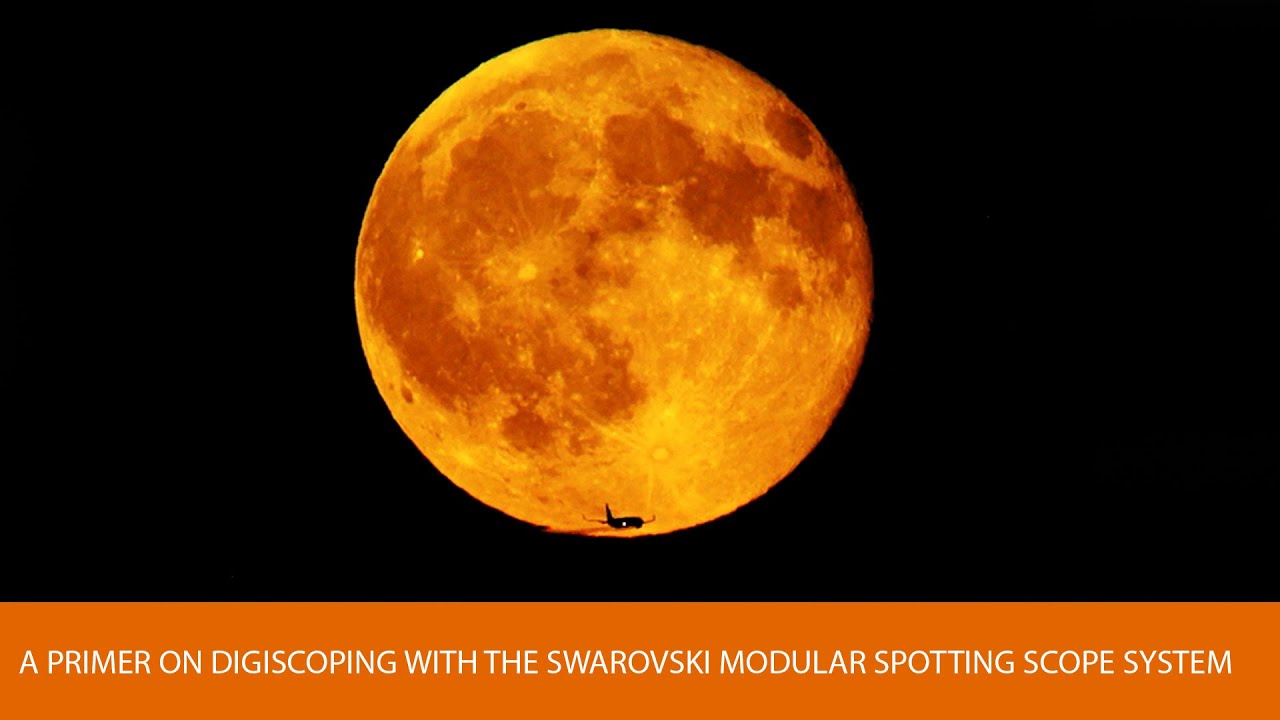 A Primer on Digiscoping with the Swarovski Modular Spotting Scope ...