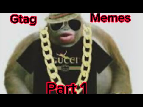 Gorilla tag memes, (MUST watch) - YouTube