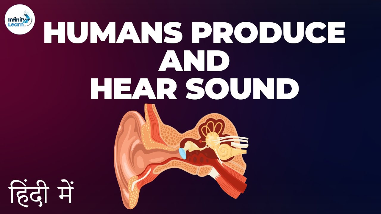 Sound - Lesson 06 | How humans produce and hear sound - in Hindi (हिंदी ...