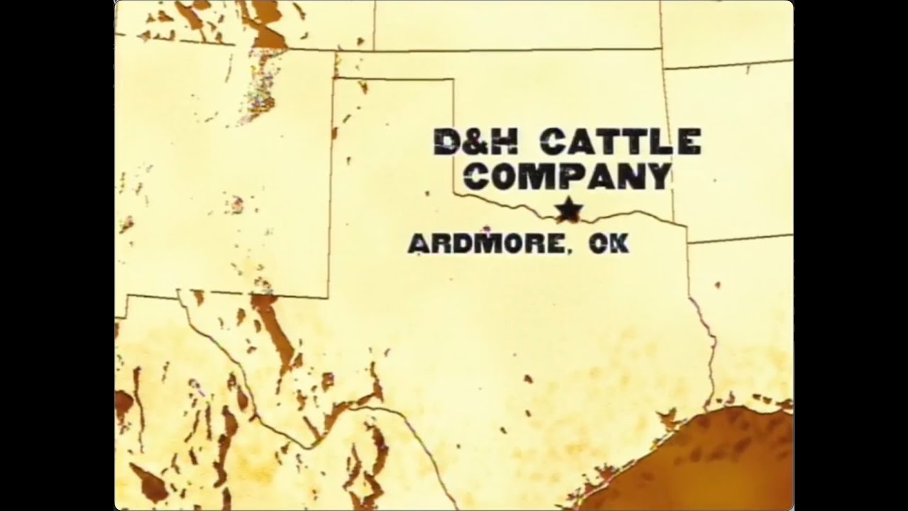 PBR Total Bull: D&H Cattle Company - YouTube