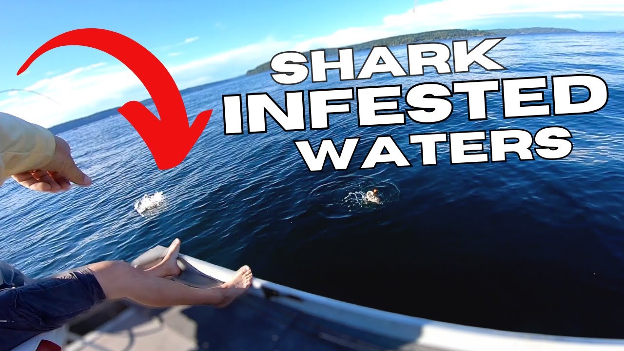Fishing Puget Sound For Bottom Fish & Salmon ( Sharks Everywhere ...