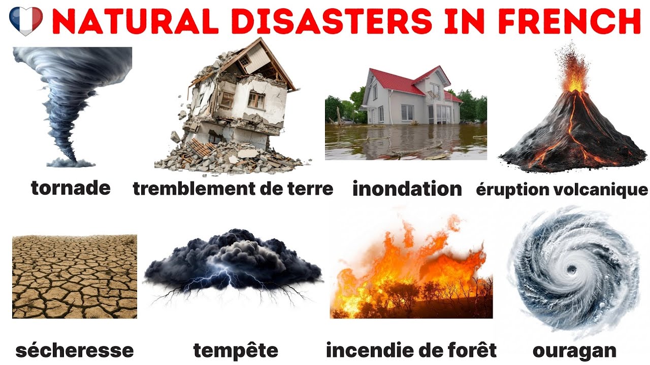 Natural Disasters in French | French Natural Disasters Vocabulary ...