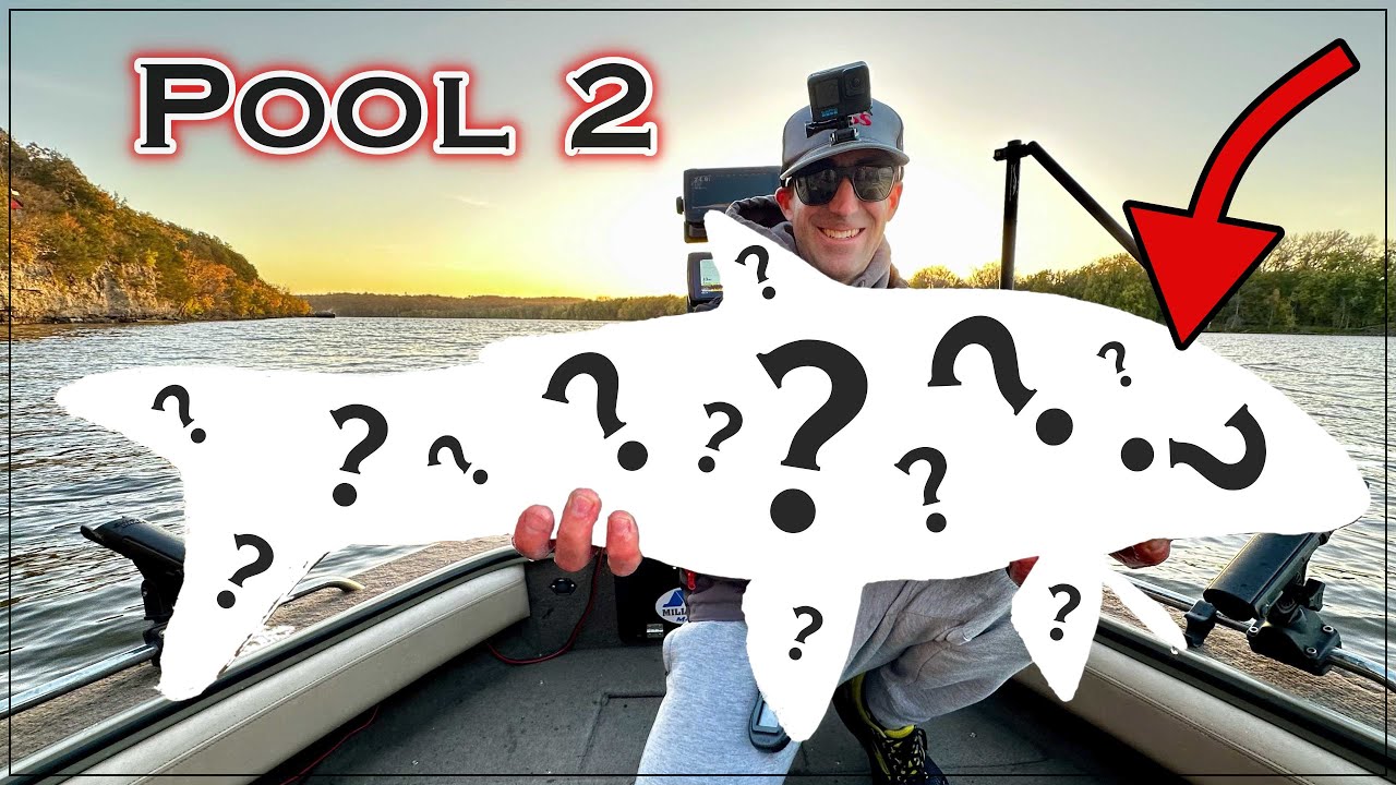 Multi-species Slam Session w/ GIANT UNEXPECTED CATCH! (Pool 2 Fall ...