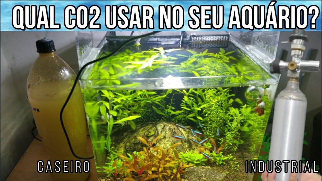 Qual a melhor Co2 caseiro ou Industrial? - YouTube