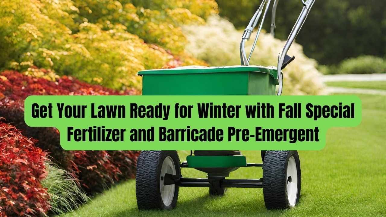 Get Your Lawn Ready for Winter with Fall Special Fertilizer and ...