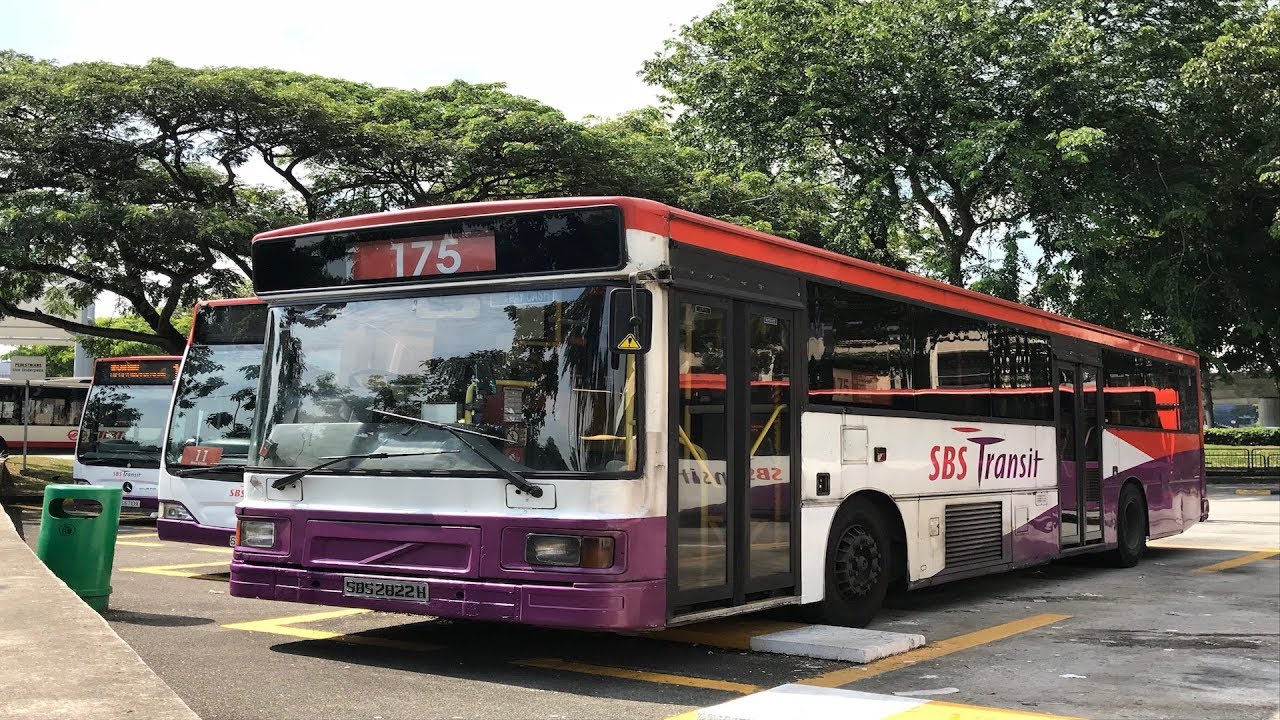 SBS2822H Volvo B10M DM3500 (SBS Transit) (Service 175) (Along Depot ...