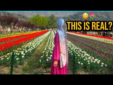 DON'T Go To Tulip Garden Srinagar 2026Without Watching This!