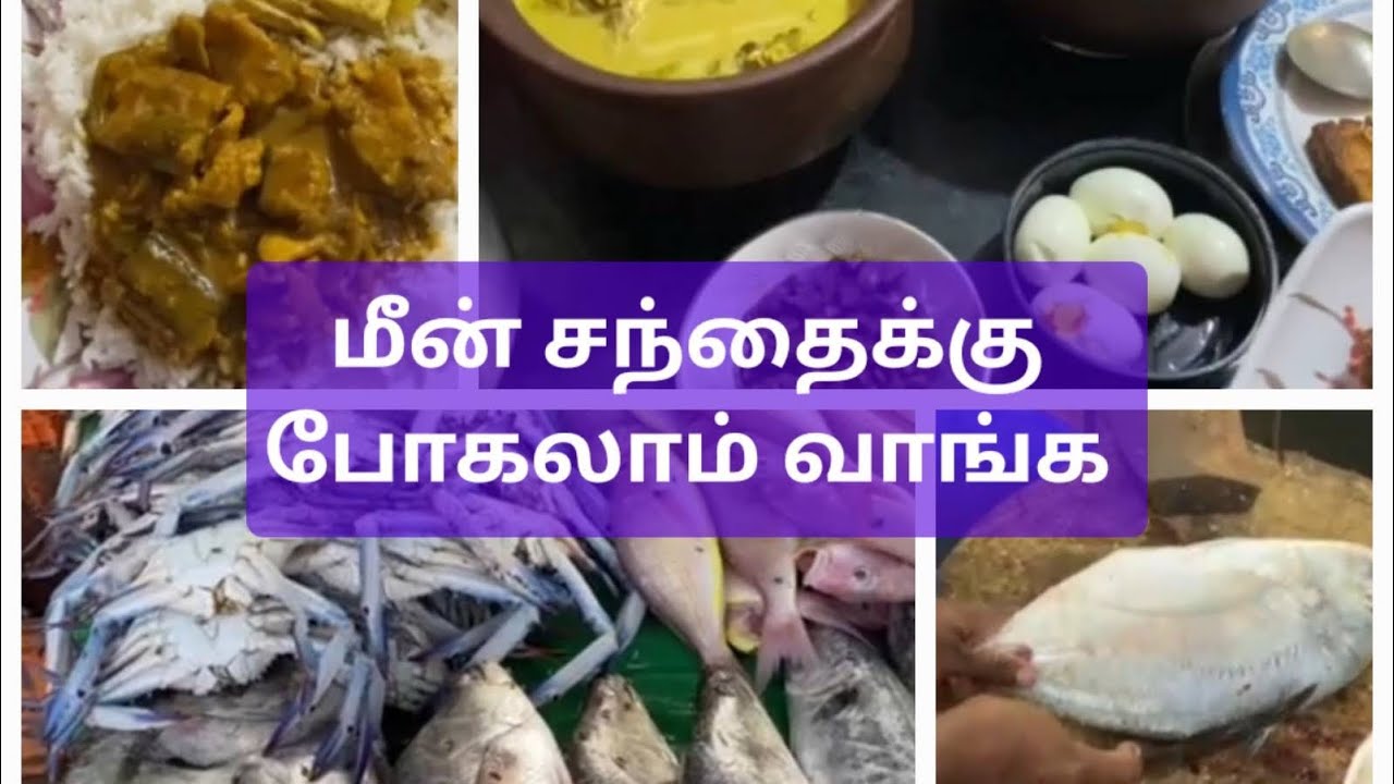 மீன் சந்தை போகலாம் வாங்க #fishmarket #trichy #fish #fishlover #மீன்கள் ...