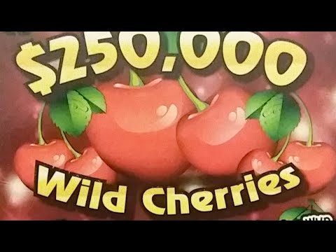 OPERATION JACKPOT VOLUME 1107: WILD CHERRIES (4 FULL BOOKS WITH A NICE ...