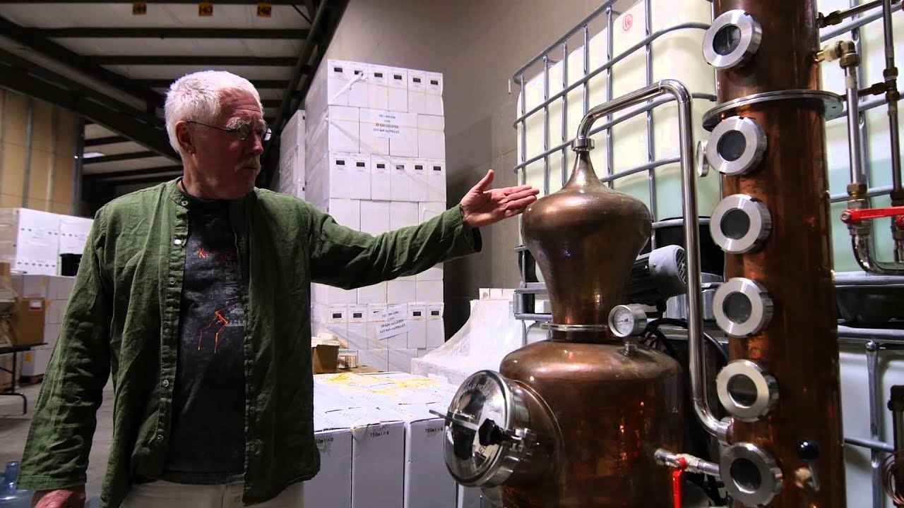 How Come Expensive lab Holstein still - YouTube