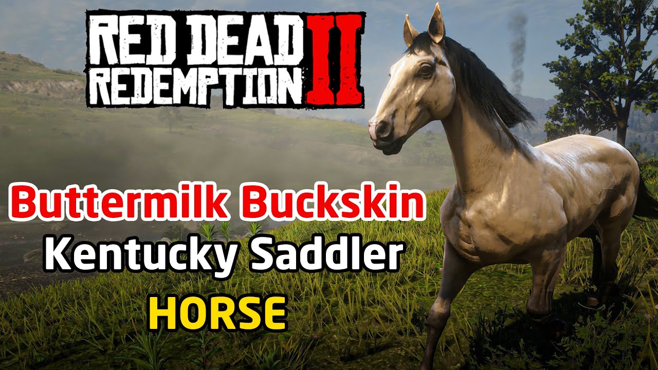 Red Dead Redemption 2 - How To Get Buttermilk Buckskin Horse - YouTube