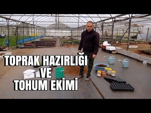 Tohum İçin Karışım Hazırlama ve Tohum Ekimi