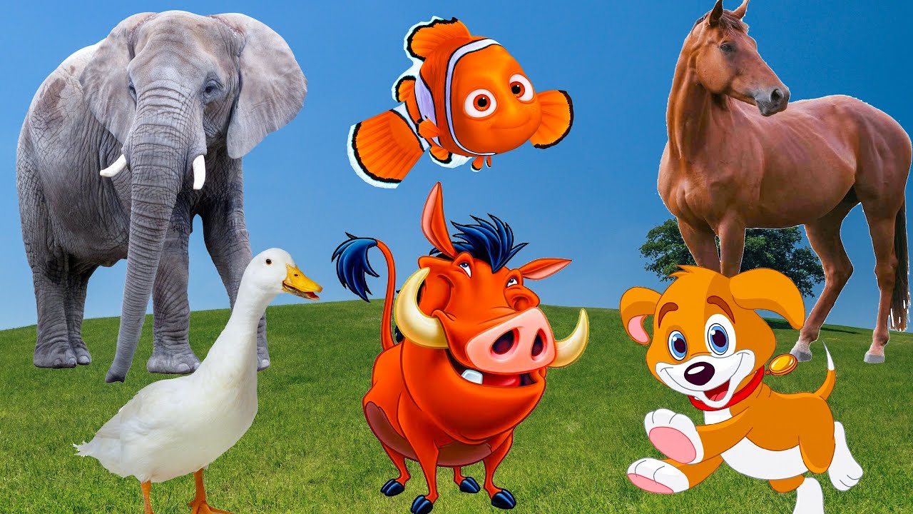 Learn the fun of animals: elephant, duck, dog, horse, pig - animal ...