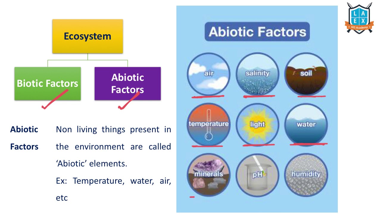 Abiotic Factors Definition abiotic-factors-definition