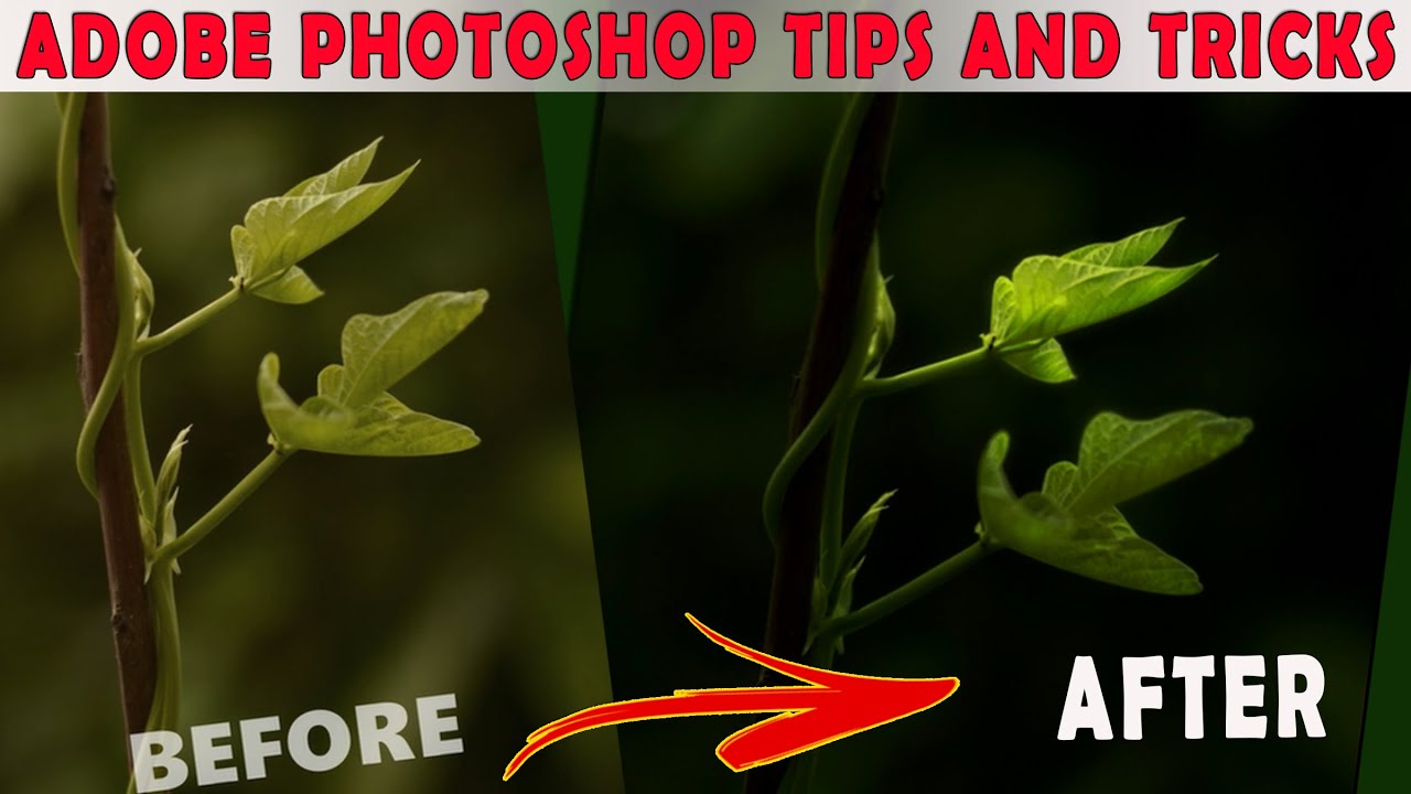 #EP207 Dark Green Filter And Back Light Effect | Work Flow | Photoshop ...